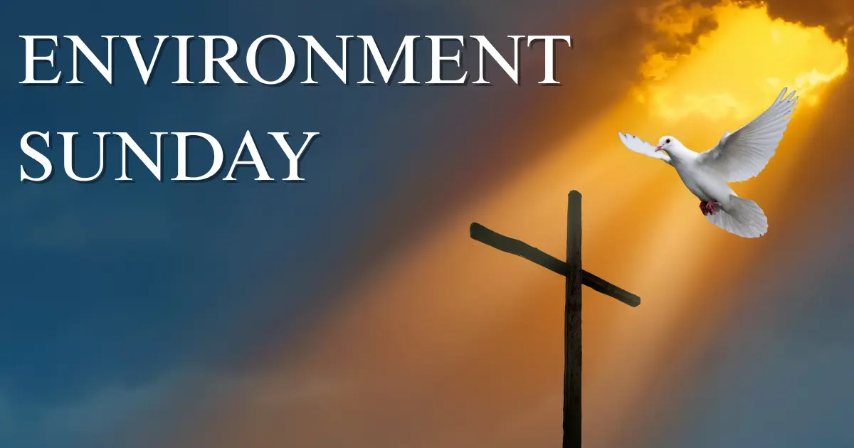 Environment Sunday: Why It Matters